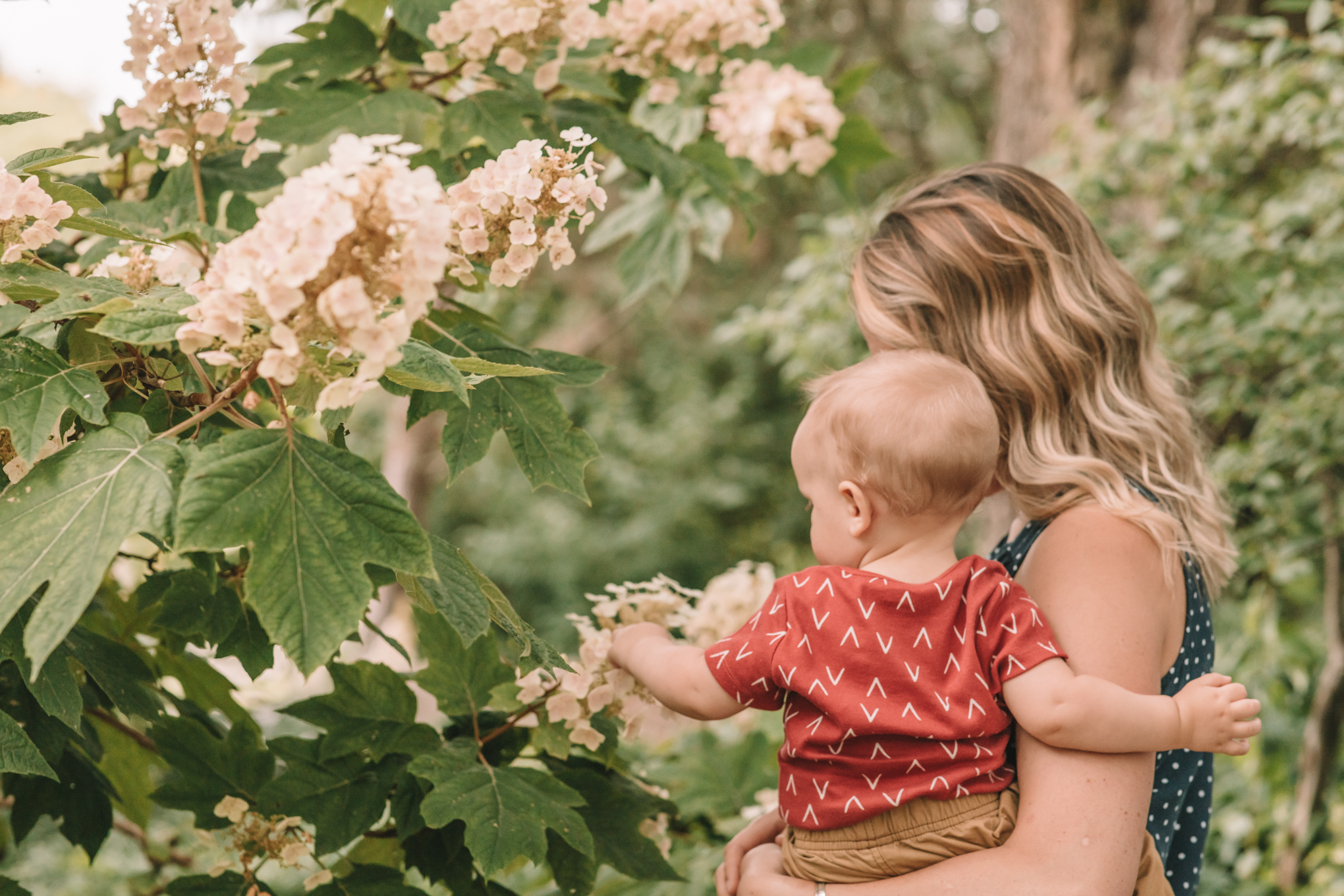 Pfaff Family Session at Ault Park – Cincinnati family photographer ...