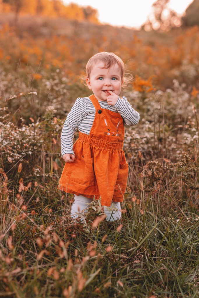 Gedert Family Fall Pictures – Mini session in Cincinnati, Ohio ...